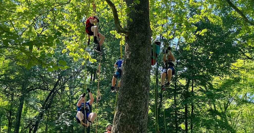 Tree Climbing Adventure – Common Ground Center